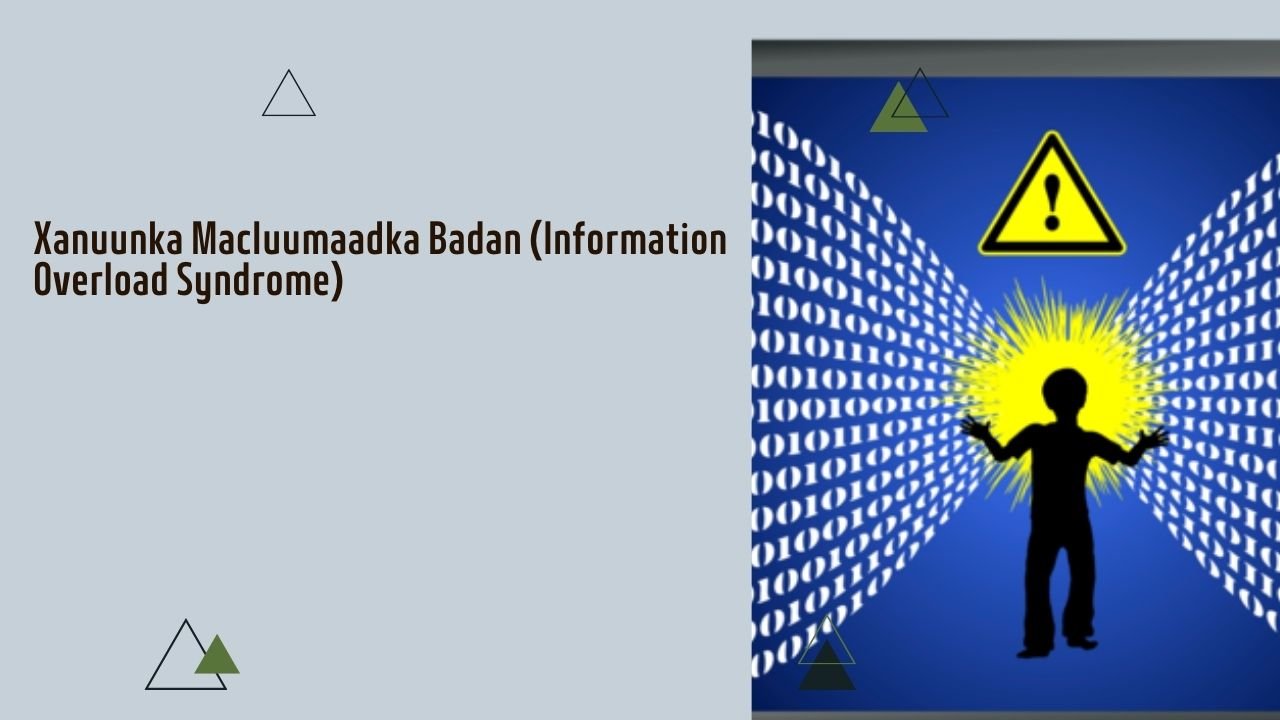 Xanuunka Macluumaadka Badan (Information Overload Syndrome) - Somhealth